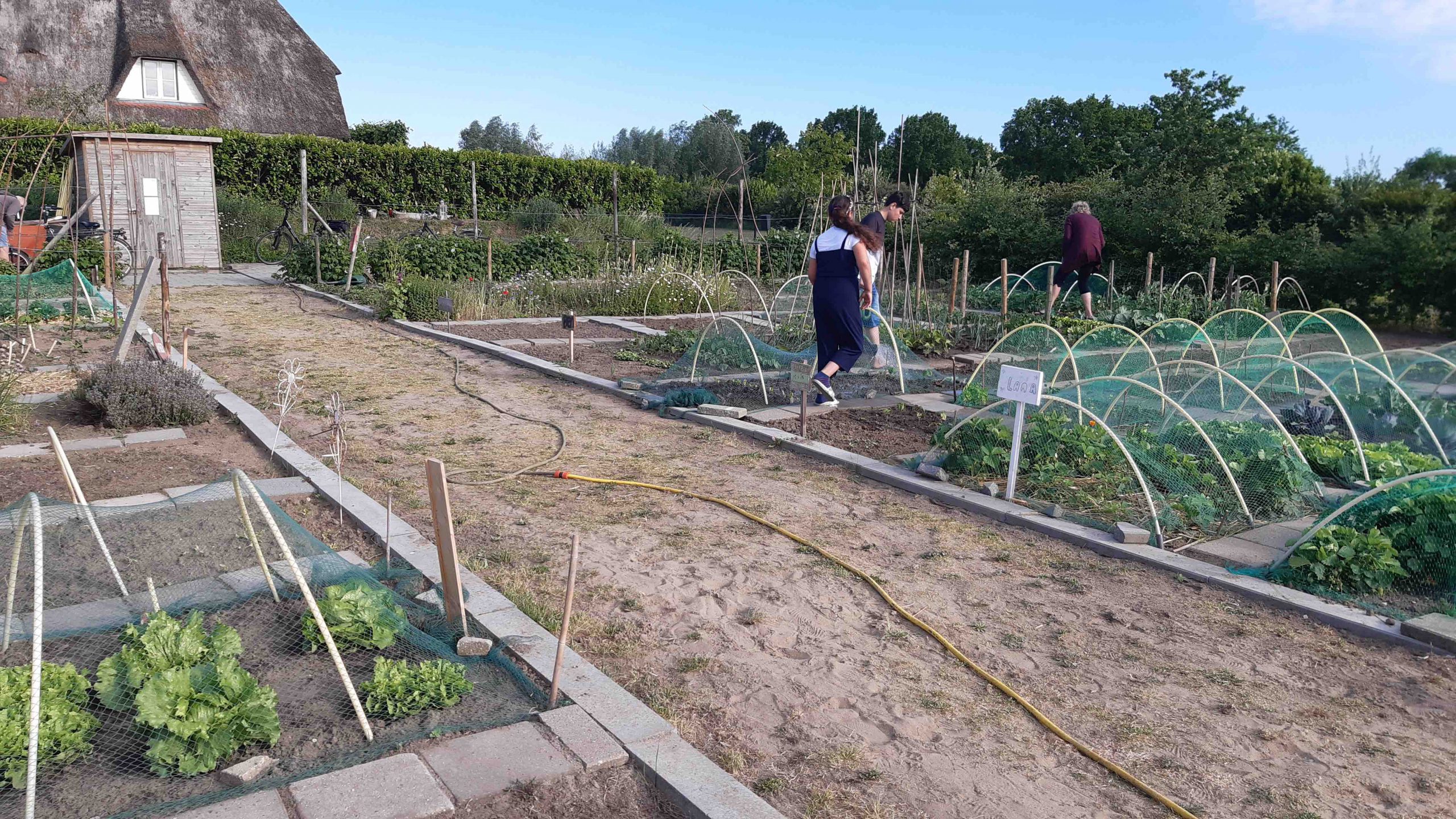 Moestuinen